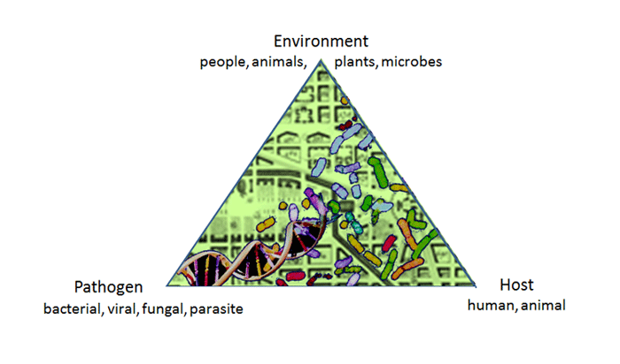 Genomes at CDC: Man, Mouse, and Microbe—it’s a Genomic World | Blogs | CDC