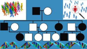 Precision Medicine in Action: How well does cascade screening for ...