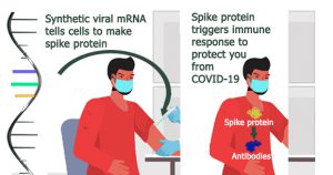 mRNA COVID-19 Vaccines: An Incredible Feat of Genomic Technology ...